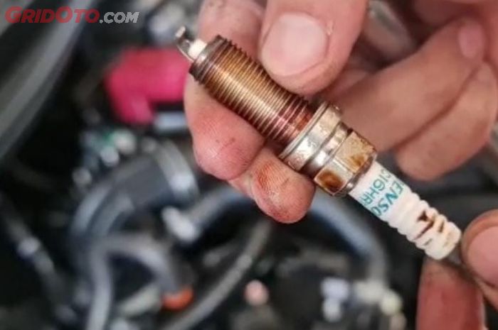 Tips Beli Mobil Bekas, Cek Kondisi Mesin dari Warna Fisik Busi - Semua ...