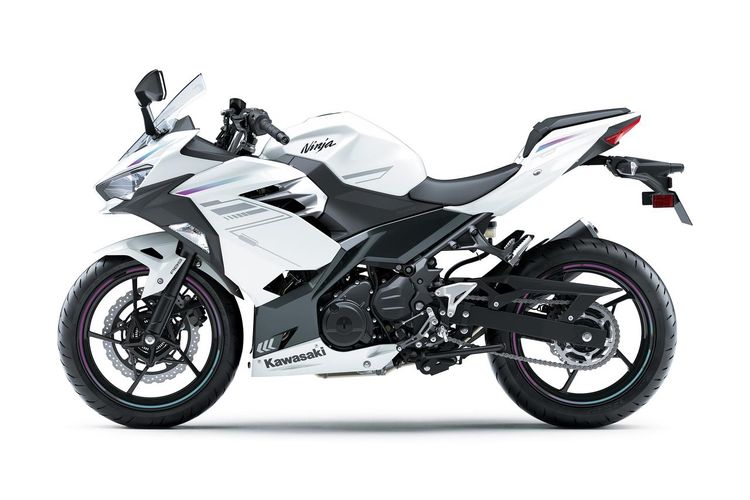 Kawasaki Ninja 250r 2022 Modifikasi